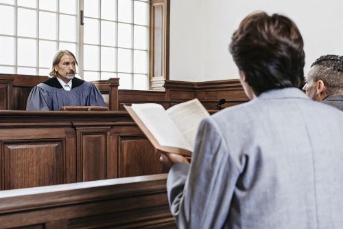 The Judgement of a Wise Judge Story - Engr Rakibul islam Nayon